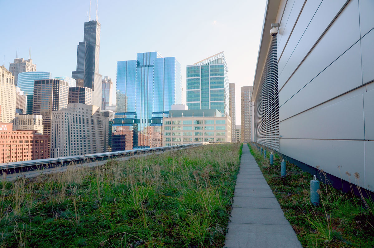 Sustainability in Chicago : ChicagoStories.org